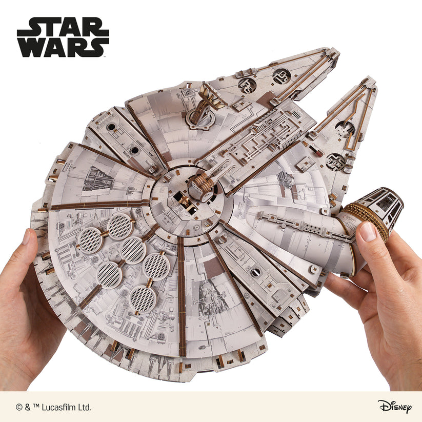 Millennium Falcon™